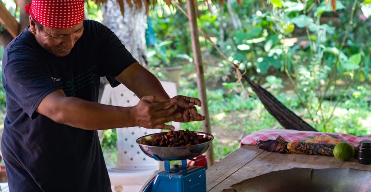 Indigenous Scout Troop Finds Sweet Success Producing Chocolate