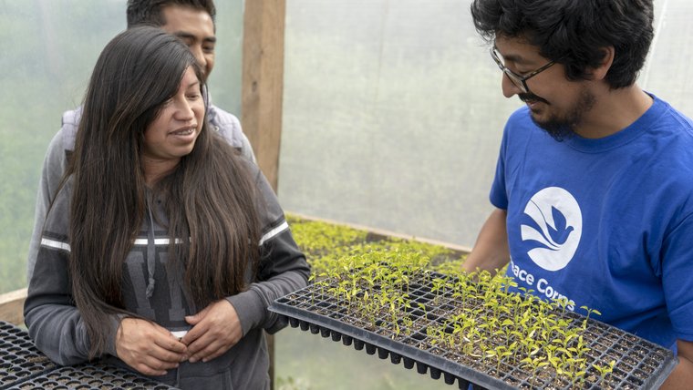 Peace Corps - When are jobs posted, and when should I start my Peace ...