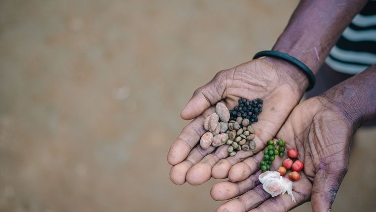 Peace Corps - How chocolate, vanilla, and spices brought 7 RPCVs ...