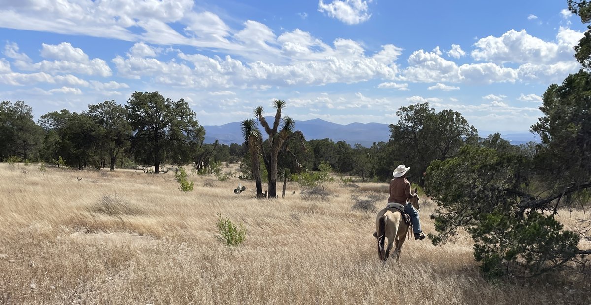 Community and Nature Thrive at the Rancho El Carrizal: A Collaborative ...