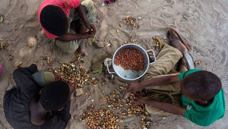 Peace Corps - From peanuts to paychecks