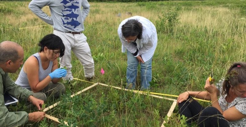 Transects and Quadrats