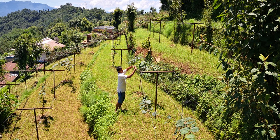 Peace Corps - Growing the capacity and diversity of a Nepalese farm
