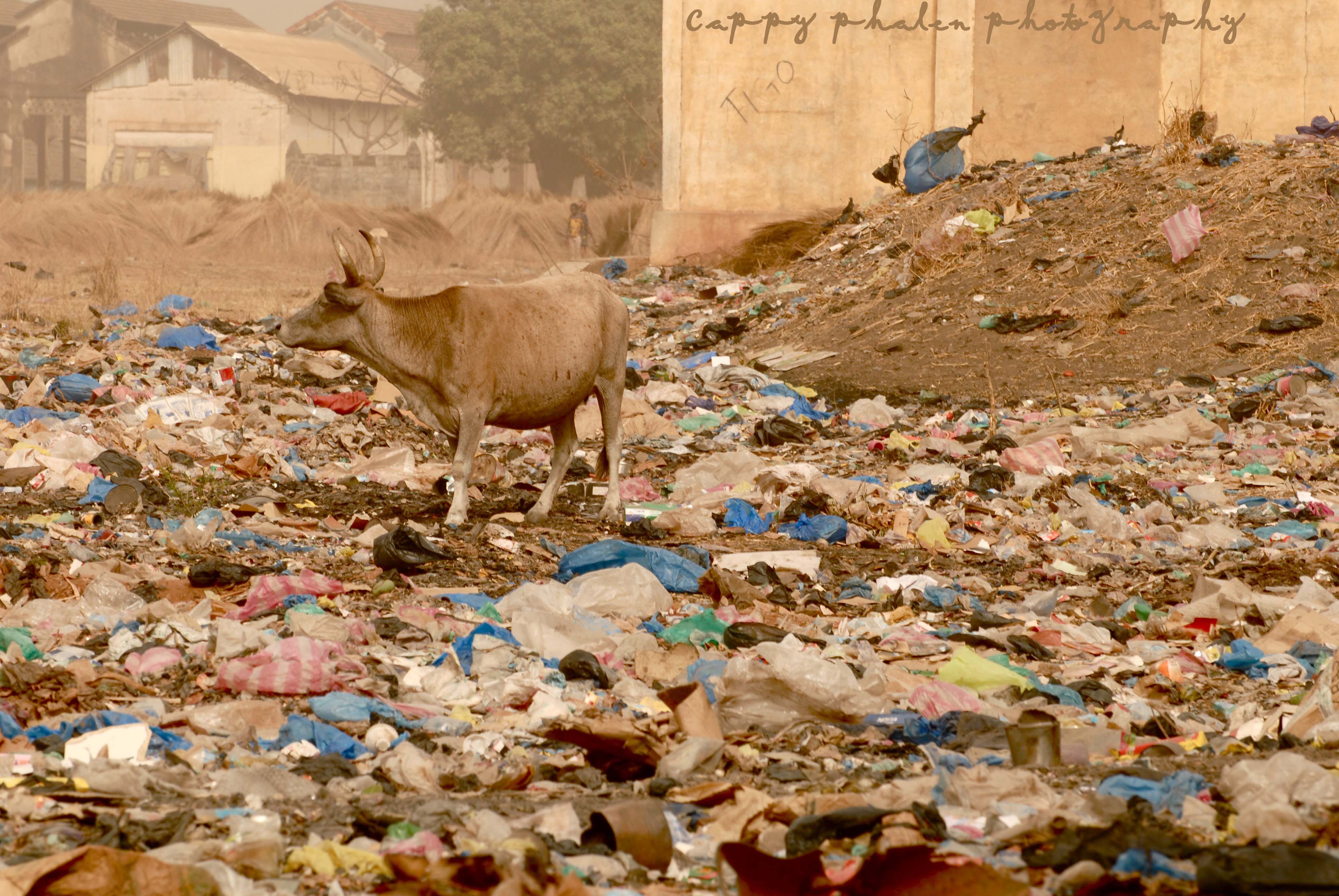 Peace Corps - Timeline for Decomposition